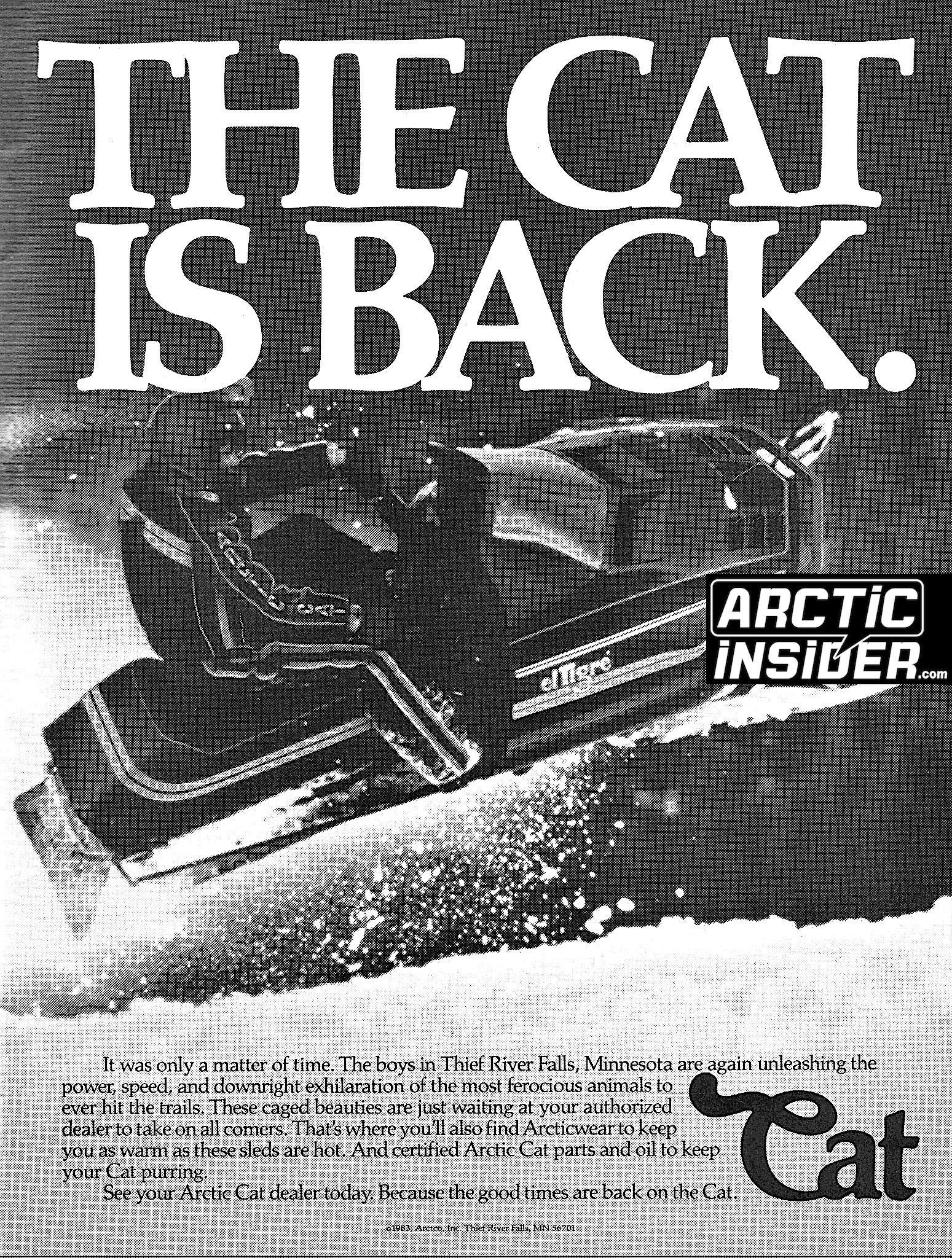 1984 ARCTIC CAT ELTIGRE CAT IS BACK AD - ArcticInsider